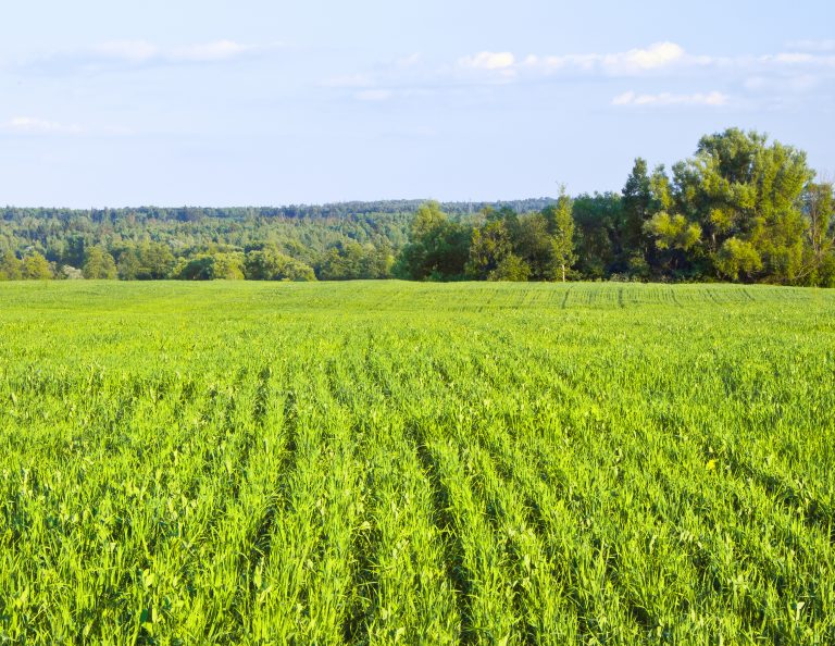 The environmental benefits of conservation agriculture - Glyphosate ...